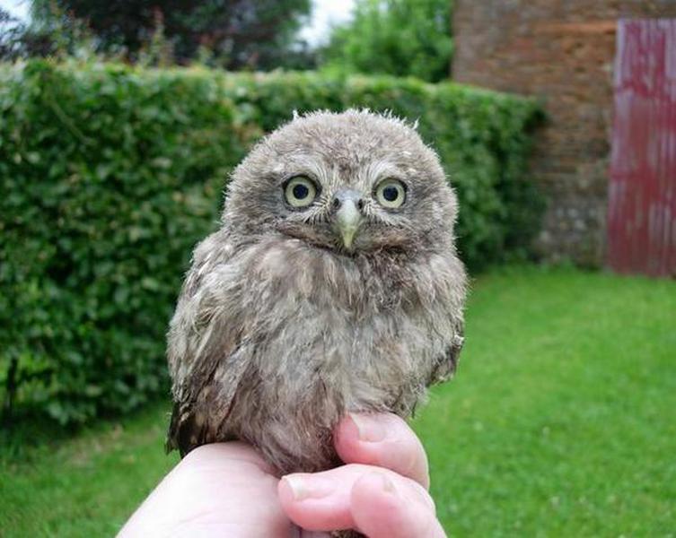 Chouette photo de Joëlle